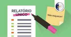 RELATÓRIO ÚNICO - JÁ SABE COMO FAZER O SEU? - SEA Soluções