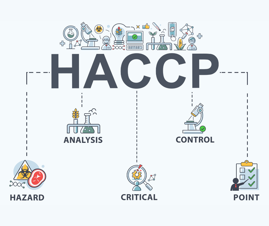 O QUE É UM PLANO DE HACCP? - SEA Soluções